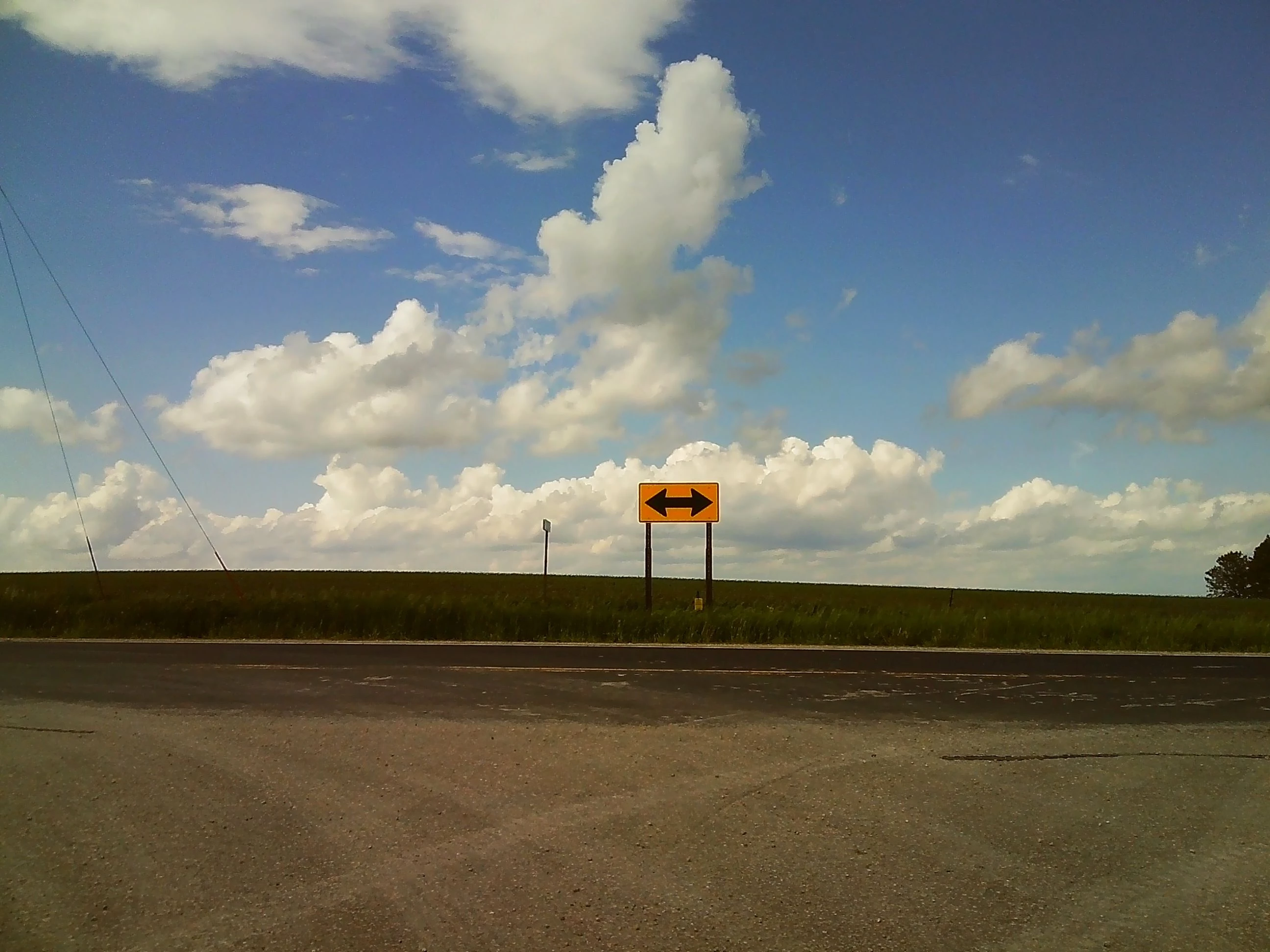 Paper Shoot - Kamera Digital 16MP Ramah Lingkungan Seperti Kamera Film